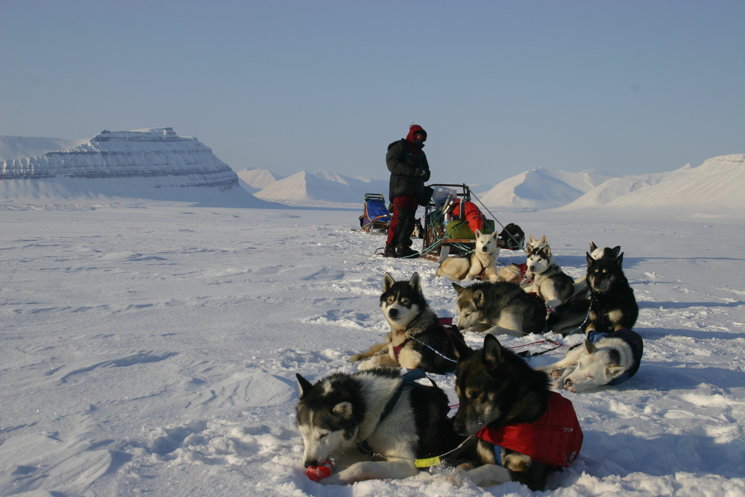 Arctic Husky Travellers – A special way to travel the Arctic