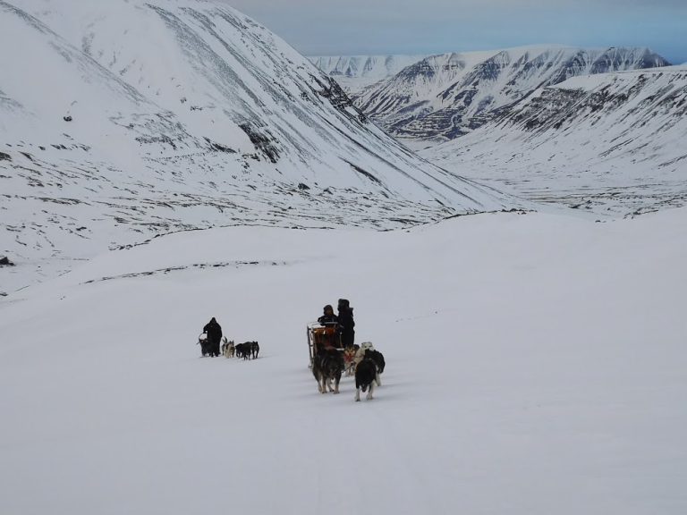 Winter Expeditions – Arctic Husky Travellers